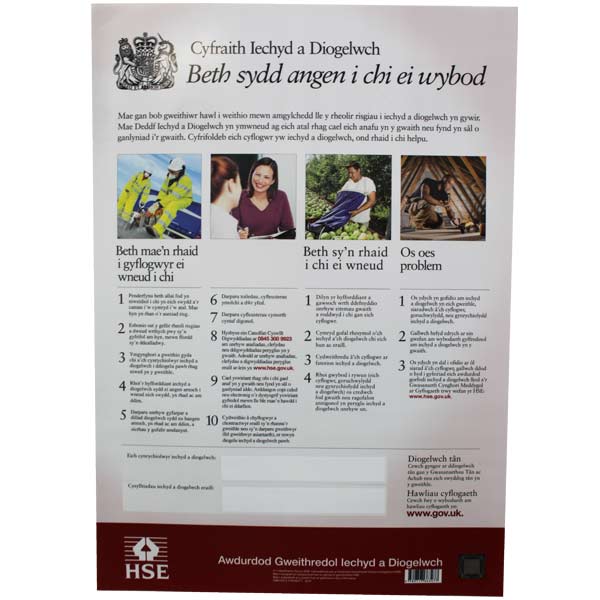 Welsh Language Health And Safety Law Poster | Eureka Direct